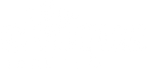 Where to find Ethique in stores?